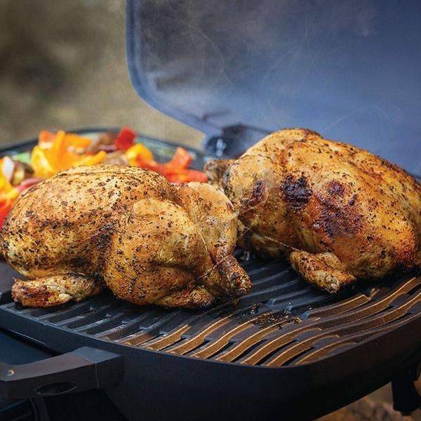 Deluxe Gas BBQ Grill: Portable & Foldable with Temperature Control ...