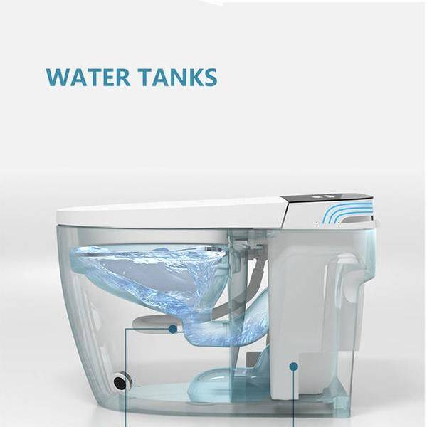Smart Siphon Flush Toilet with Remote & Concealed Tank - Joy To Use